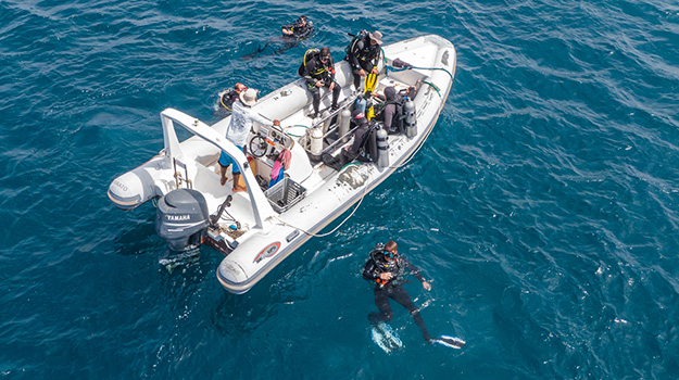 Cabo Verde Nautical Tourism: Water Adventure